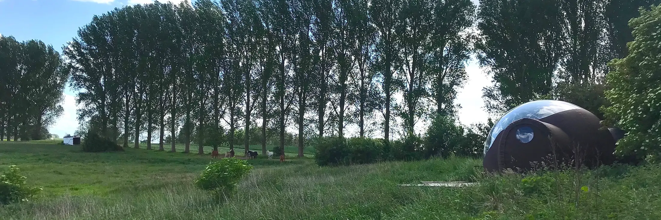 Bubble Place, Bulle insolite avec vue sur les étoiles